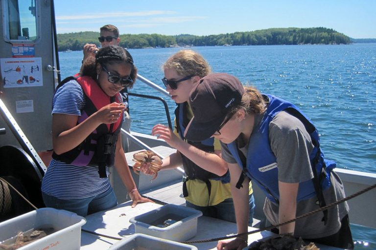 Advanced Marine Science Program with College Credit | Acadia Institute