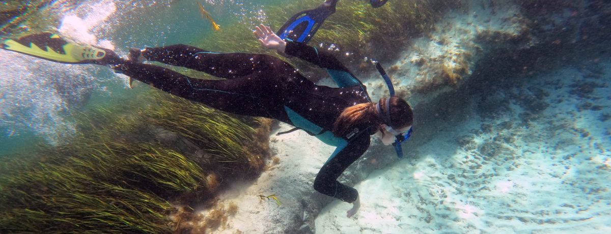 Marine science camps: the florida program at AIO marine science camp