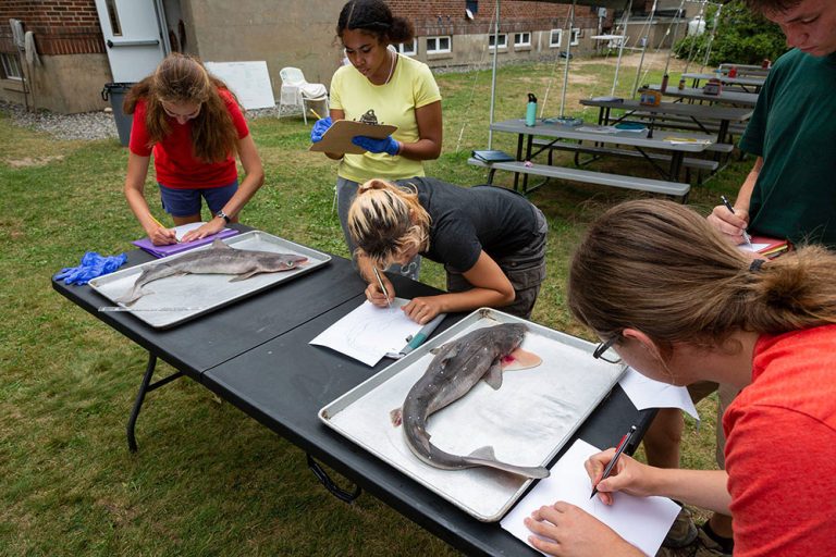 Marine Science Summer Camps at the Acadia Institute of Oceanography